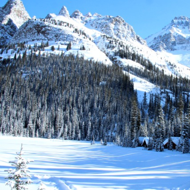RMF04R 4-Day WINTER ROMANTIC EXPERIENCE VACATION PACKAGE