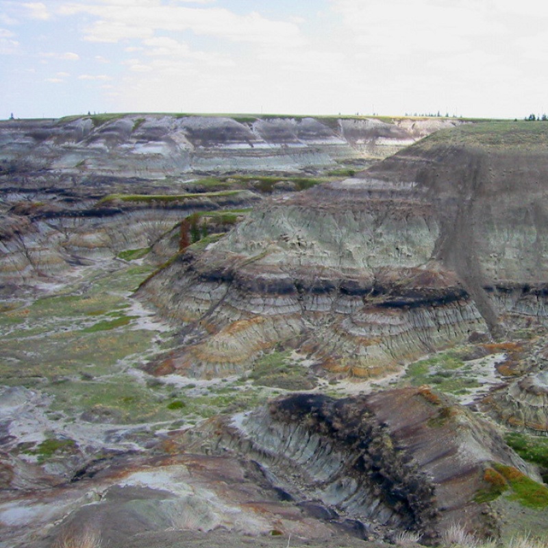 1-Day Badlands & Dinosaur Museum Guided Tour