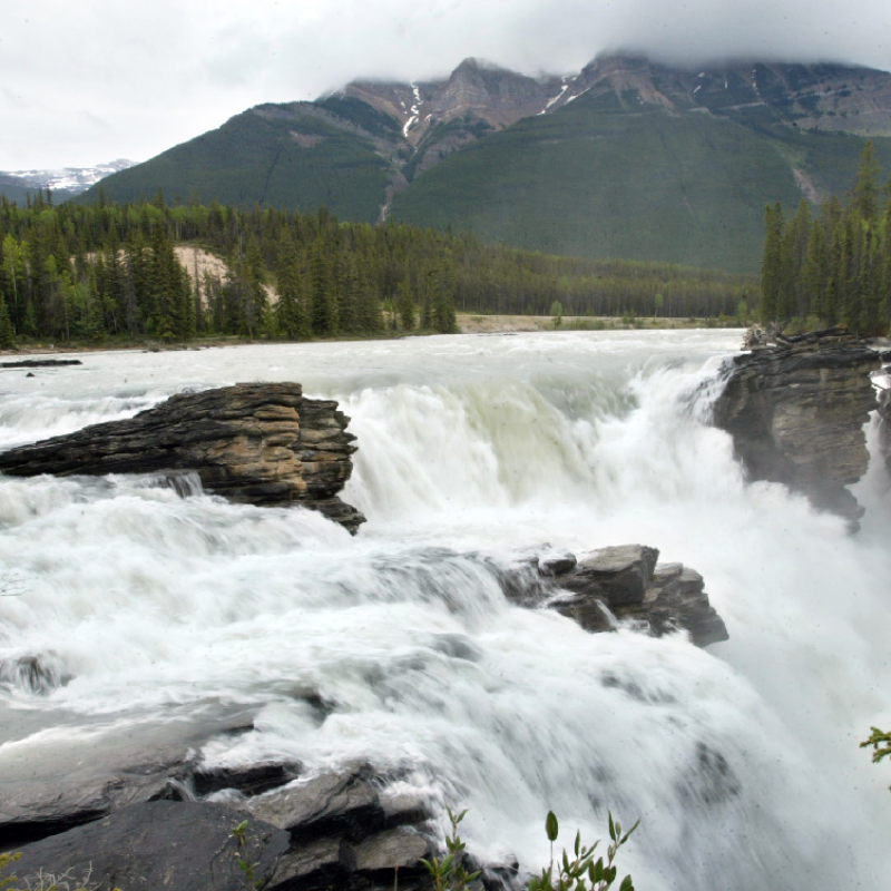 IRO03A 3-Day ROCKIES UNIQUE TOUR |Jasper National Park