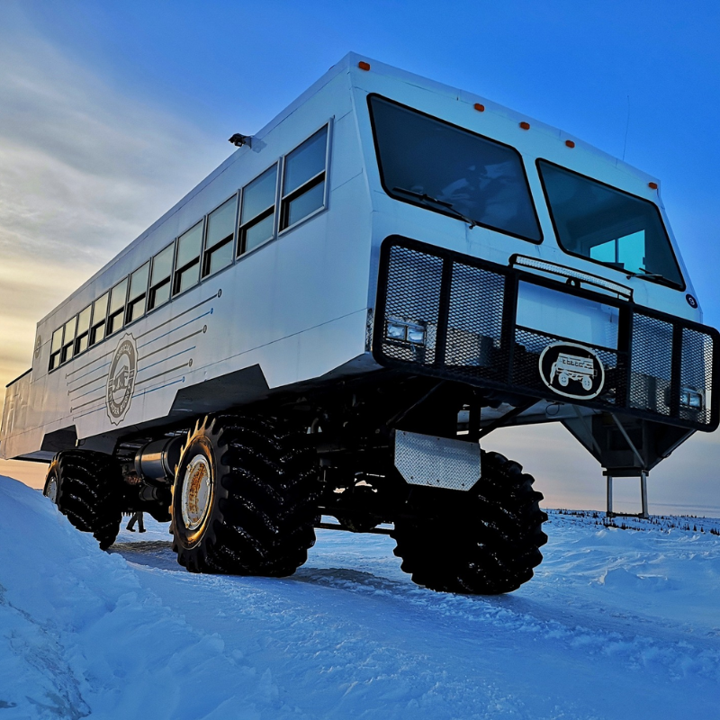 Tundra Buggy Lodge 5 Days Tour - Departing from Winnipeg